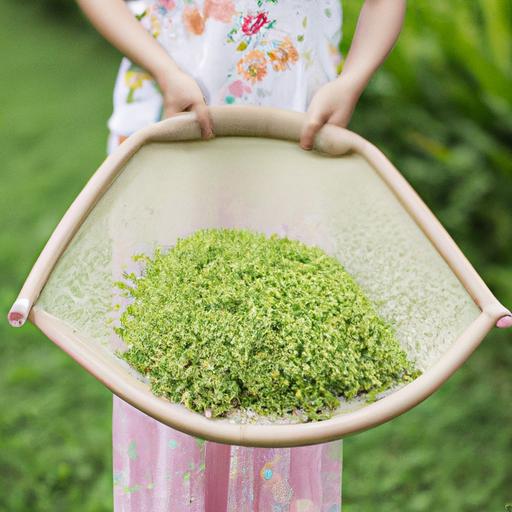 Cách nấu canh mùng tơi ngon đơn giản tại nhà
